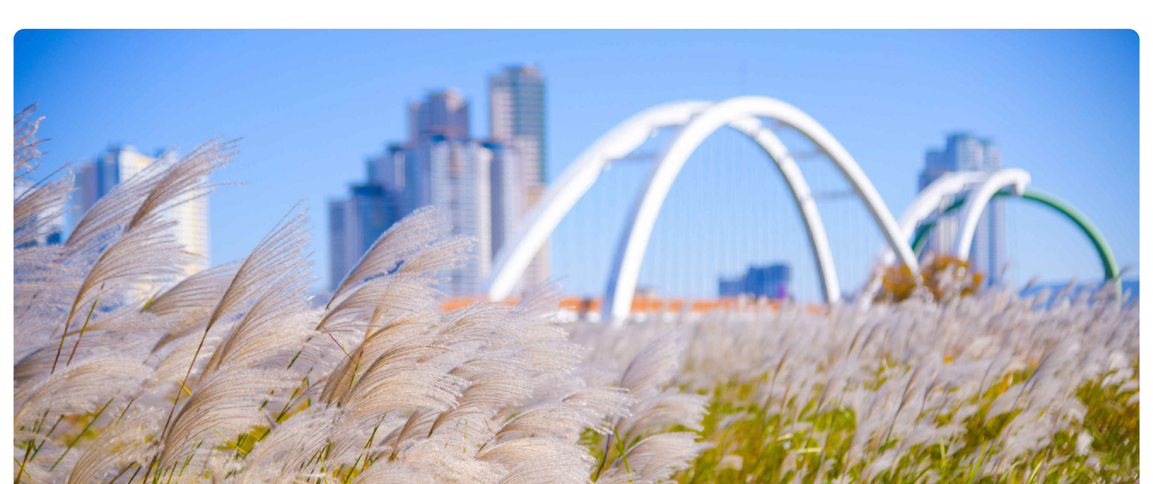 Memorable Autumn Foliage Day Tour from Busan - Klook